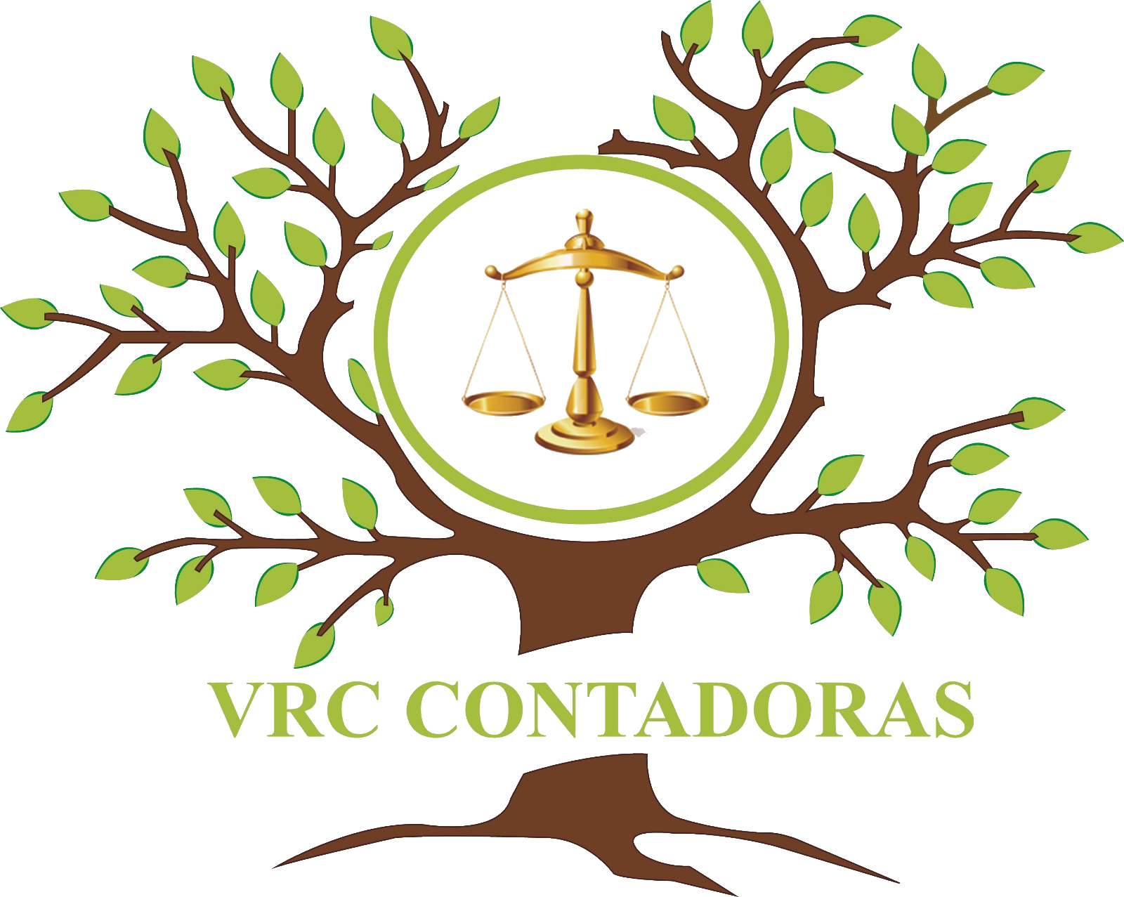 VRC Contadoras | Despacho Contable Guadalajara Jalisco
